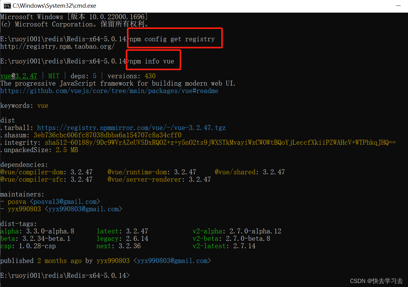 2024年最新若依RuoYI安装全教程_若依安装教程-CSDN博客