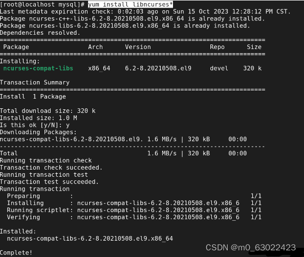 解决linux红帽redhat9镜像源无法安装MySQL（RedHat 9 替换yum源镜像）_redhat.repo-CSDN博客