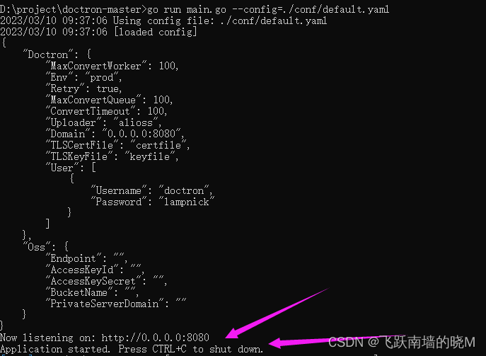 【Windows 部署 doctron 】html转pdf，html 转图片-CSDN博客