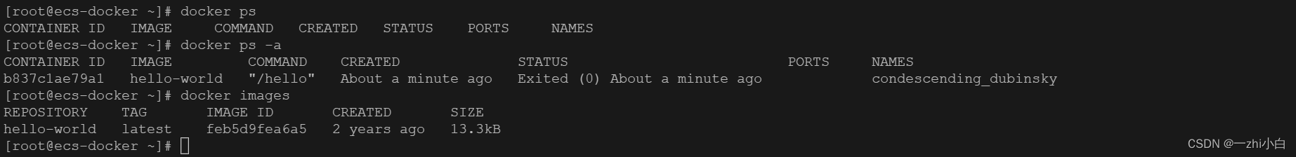 【docker安装】Centos7 安装 Docker （yum)_centos7 docker yum-CSDN博客