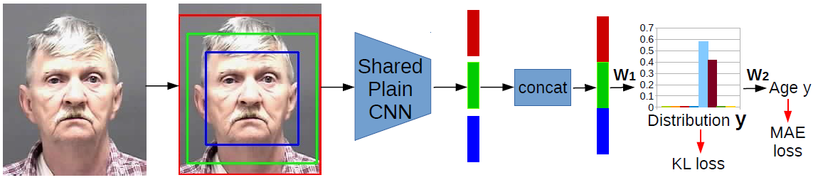 Age Estimation-CSDN博客