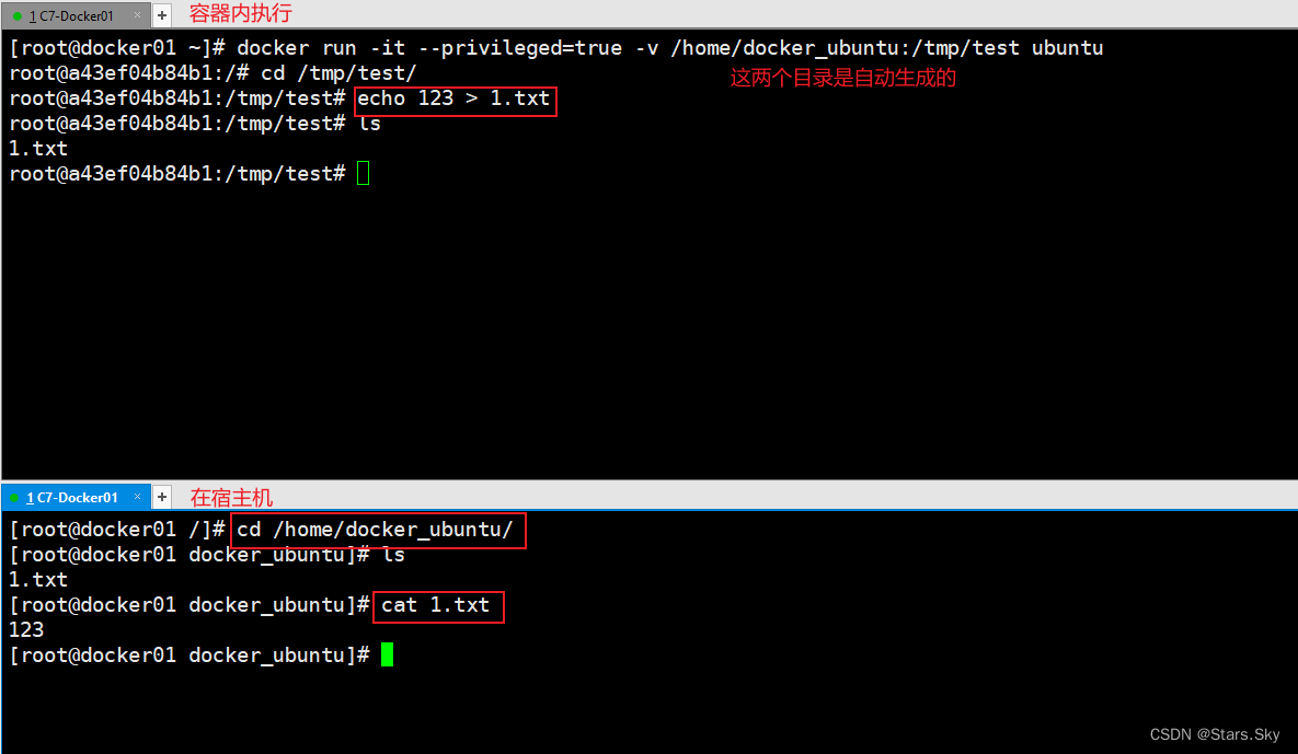 【云原生 | Docker 基础篇】08、Docker 容器数据卷_basename: unrecognized option '--privileged=true-CSDN博客