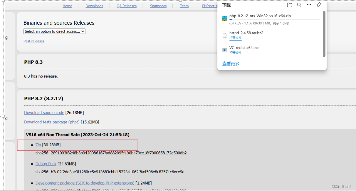 vsc无法访问之PHP安装-CSDN博客