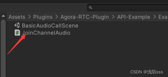 unity接入声网音频sdk_声网 unity3d token生成-CSDN博客