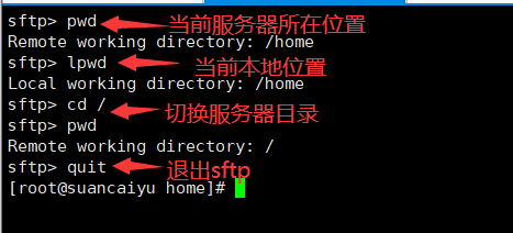 SSH远程访问控制_stricthostkeychecking-CSDN博客