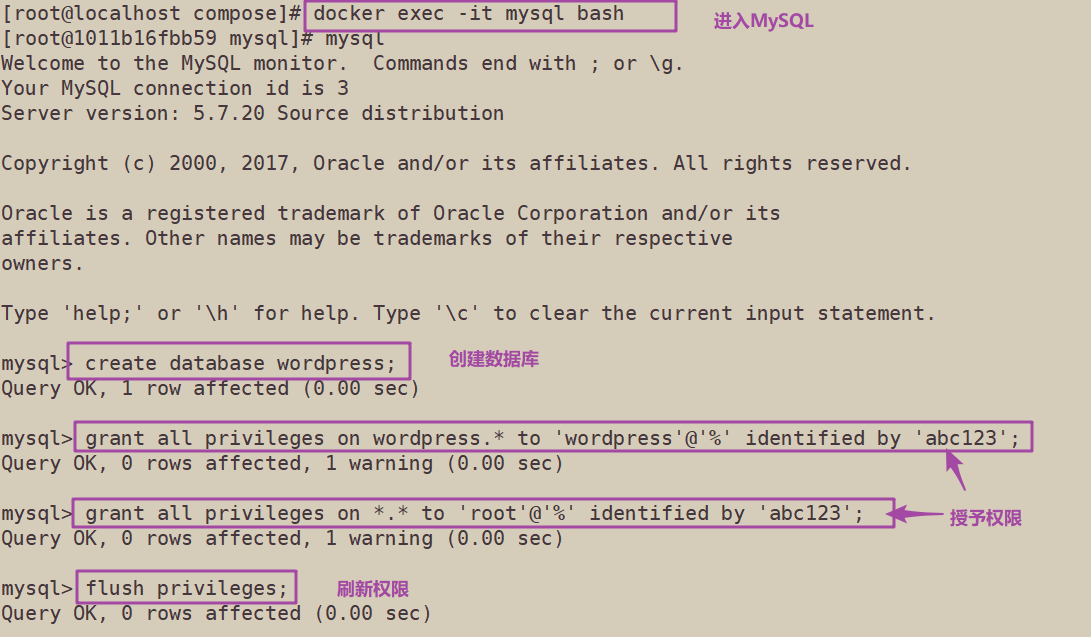 利用Docker-Compose来实现容器集群化_docker-compose 集群-CSDN博客