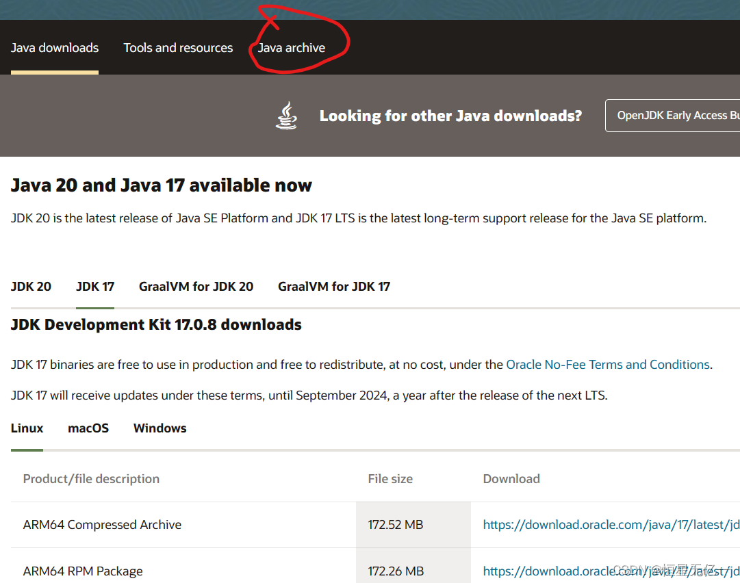 JDK17+tomcat11安装配置教程（压缩包方式）_tomcat11.0安装教程-CSDN博客