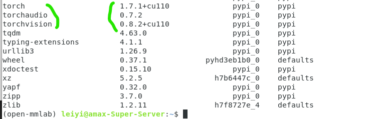 Linux安装torch1.7.1+torchvision0.8.2+torchaudio0.7.2+mmcv1.4.0_pip install torch==1.7.1+cu110 ...