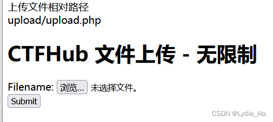 CTFHub-WEB-文件上传_ctf文件上传获取flag-CSDN博客