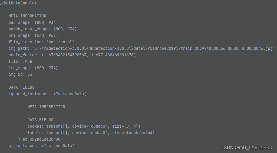 mmdetection项目debug：deformable-detr_mmdetection debug-CSDN博客