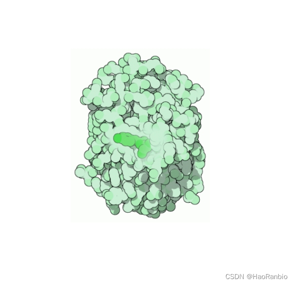 增强型绿色荧光蛋白（EGFP）概述_egfp荧光蛋白-CSDN博客