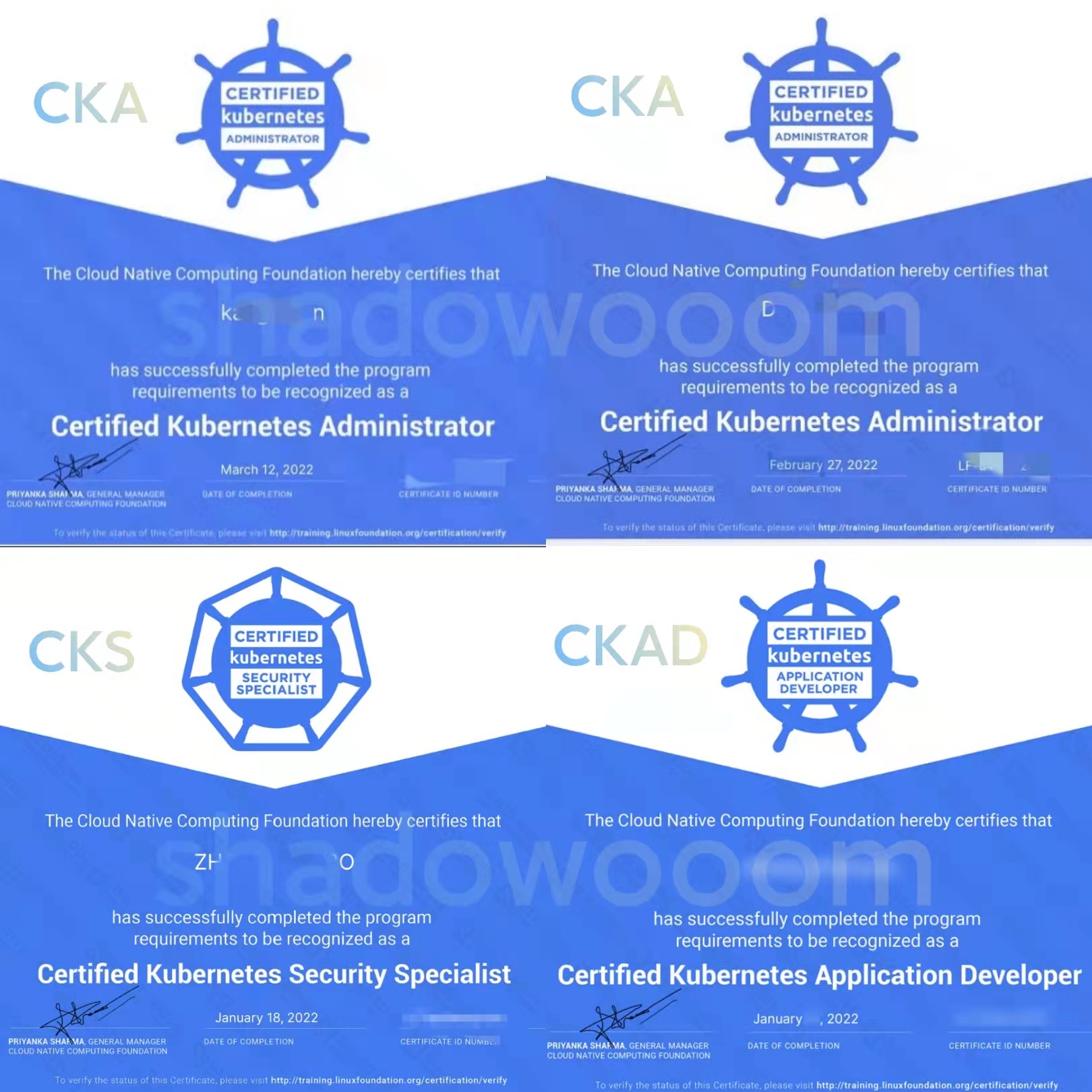 Kubernetes CKS v1.23 考试 实验 模拟环境 （最新考题搭建）_cks题库搭建-CSDN博客