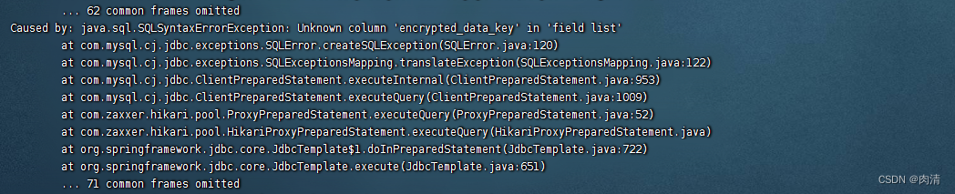 NACOS2.1. 最新版本启动报错Caused by: java.sql.SQLSyntaxErrorException: Unknown column ‘encrypted_data ...