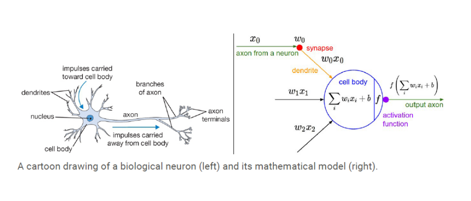 神经网络与深度学习---单层感知器（matlab+实例）_单层感知器模型中b值怎么取-CSDN博客