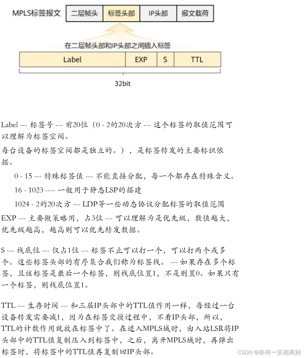 MPLS与LDB协议详解以及配置-CSDN博客