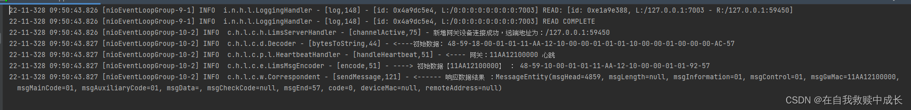 【netty客户端 实现模拟硬件设备在线】设备netty Csdn博客