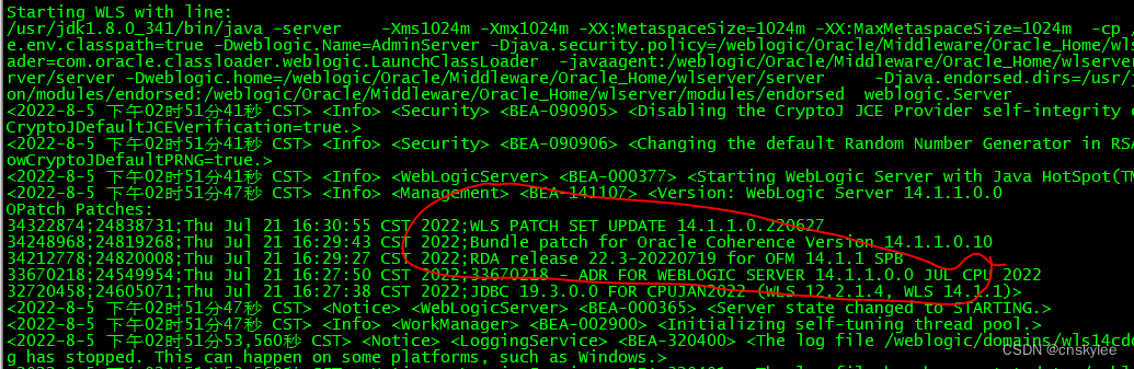 【weblogic】opatch Patches No Patches Installedopatch Lspatches Csdn博客
