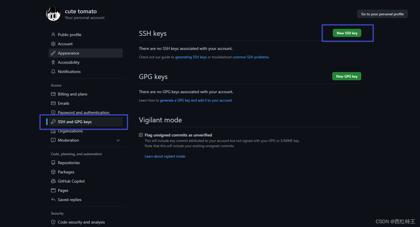 GitHub配置SSH密钥_githubssh密钥在哪-CSDN博客