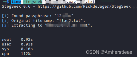 隐写工具Steghide使用教程（win）-CSDN博客