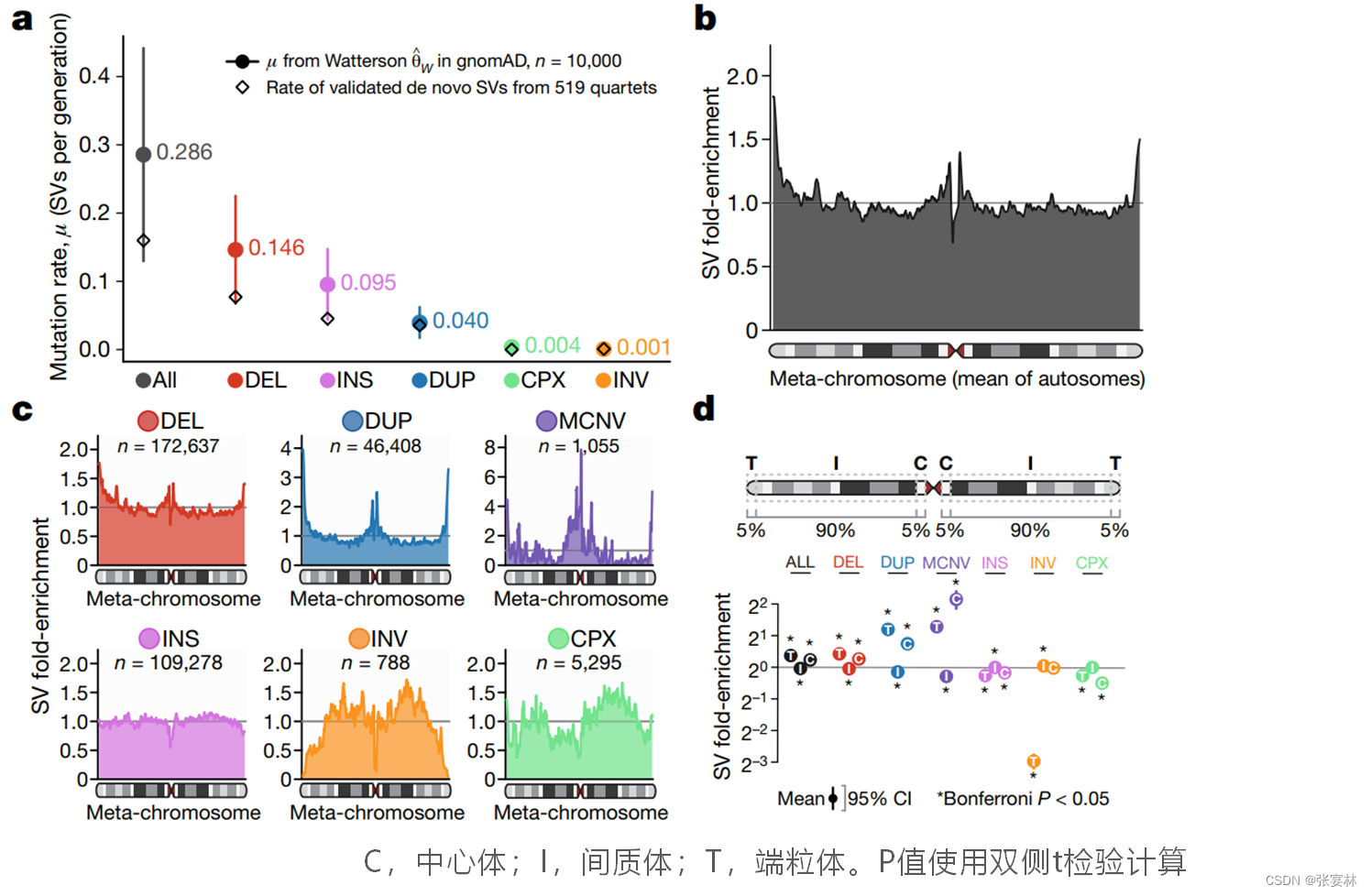 人基因组重测序系列 - 1.人基因组简介_human mutation-CSDN博客