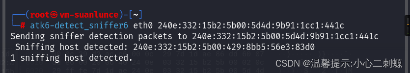 Thc-Ipv6 使用-CSDN博客
