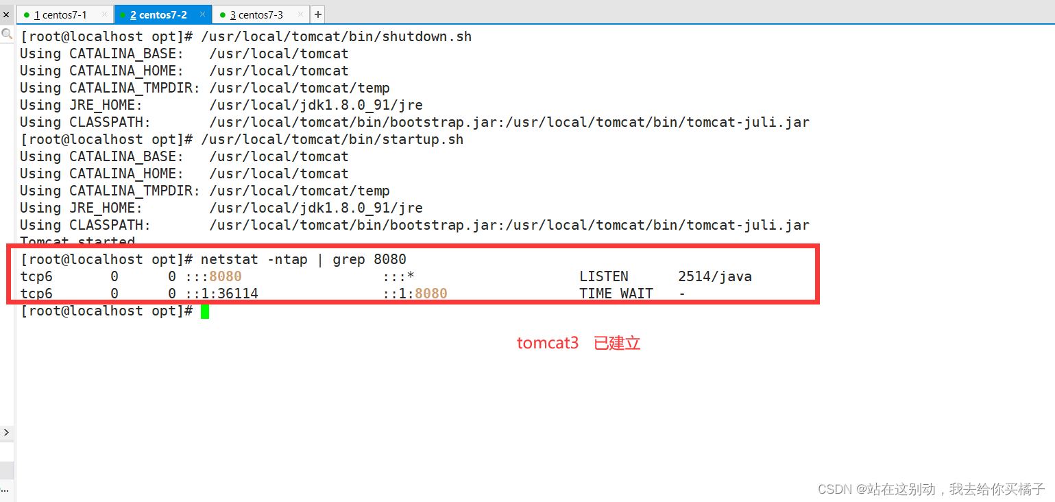 Nginx+Tomcat负载均衡、动静分离_nginx+tomcat的动静组合方式-CSDN博客