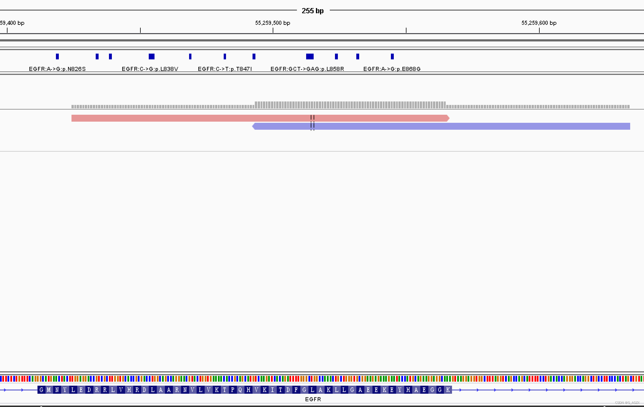 PE测序中read1与read2关系_双端测序的两个read怎么匹配-CSDN博客