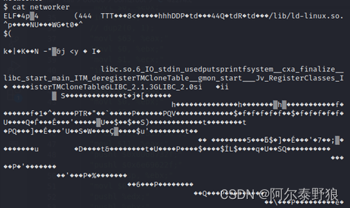 实战打靶集锦-003-Born2root-CSDN博客