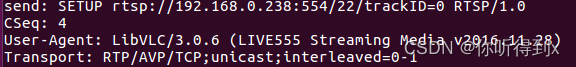 RTSP/RTP/RTCP 客户端实现_rtsp 客户端-CSDN博客