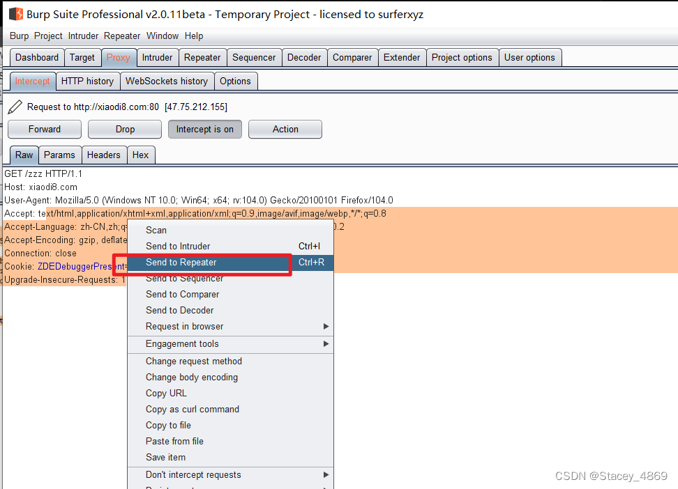 Burp suite的使用方法（持续更新中）_burp suite使用-CSDN博客