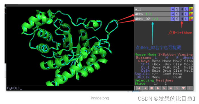 Pymol入门教程--基础-CSDN博客