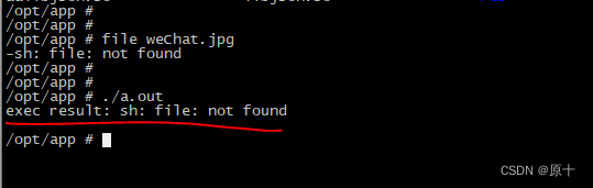 popen 函数的使用，获取不到执行结果_popen函数输出结果读不到-CSDN博客