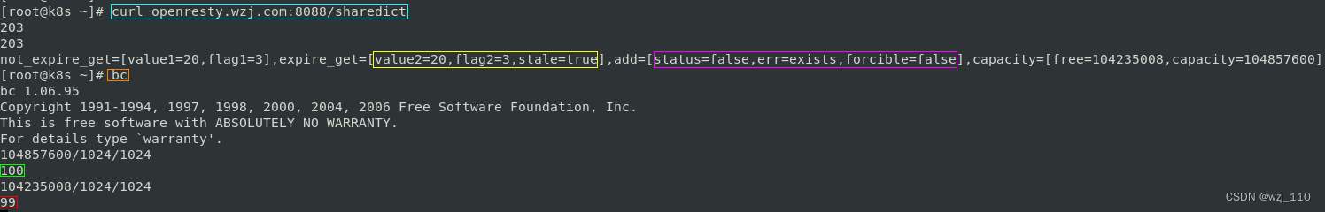 Openresty(二十)ngx.shared共享内存操作-CSDN博客