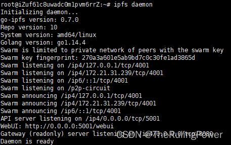 Linux IPFS 搭建_linux 部署ipfs-CSDN博客