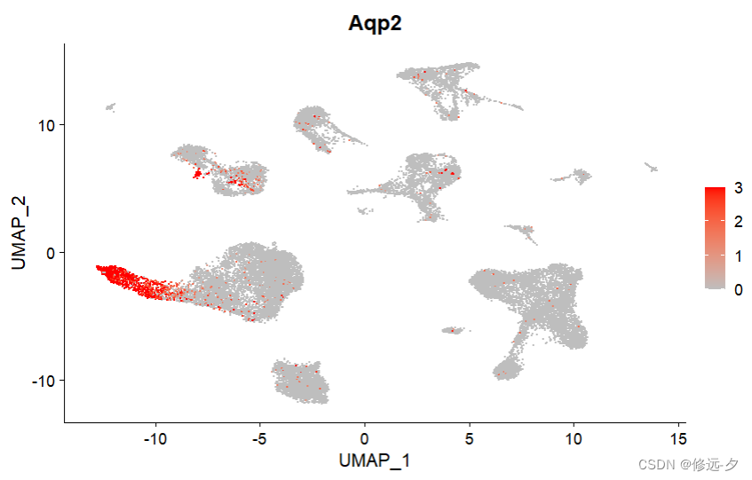分享两个单细胞基因表达的展示方法_单细胞分析展示指定基因的表达-CSDN博客
