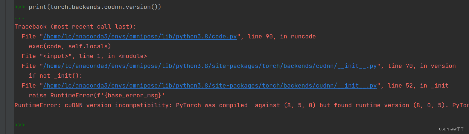 RuntimeError: GET was unable to find an engine to execute this computation-CSDN博客
