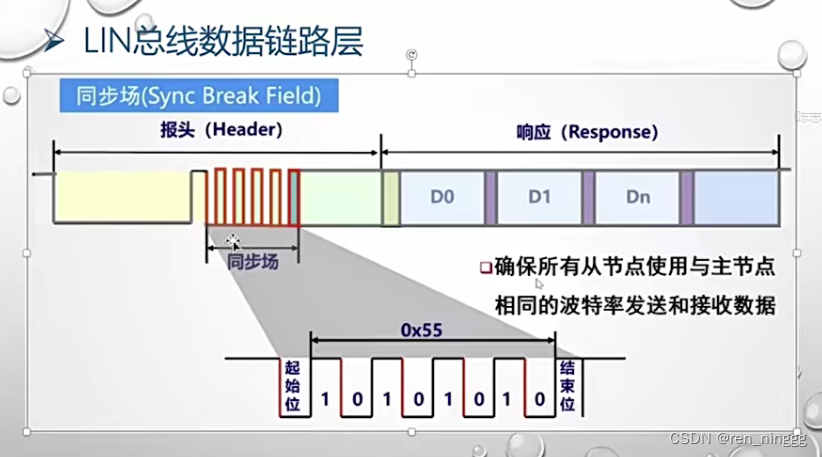 LIN网络-CSDN博客