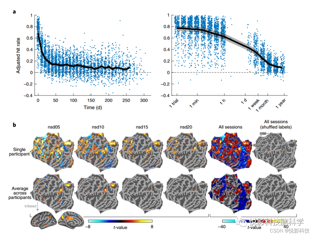 Nature neuroscience:一个庞大的连接认知神经科学和人工智能的7T fMRI数据集_nsd数据集下载-CSDN博客