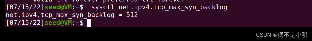 【SEED LAB】TCP/IP Attack Lab_seedlab tcp attack-CSDN博客