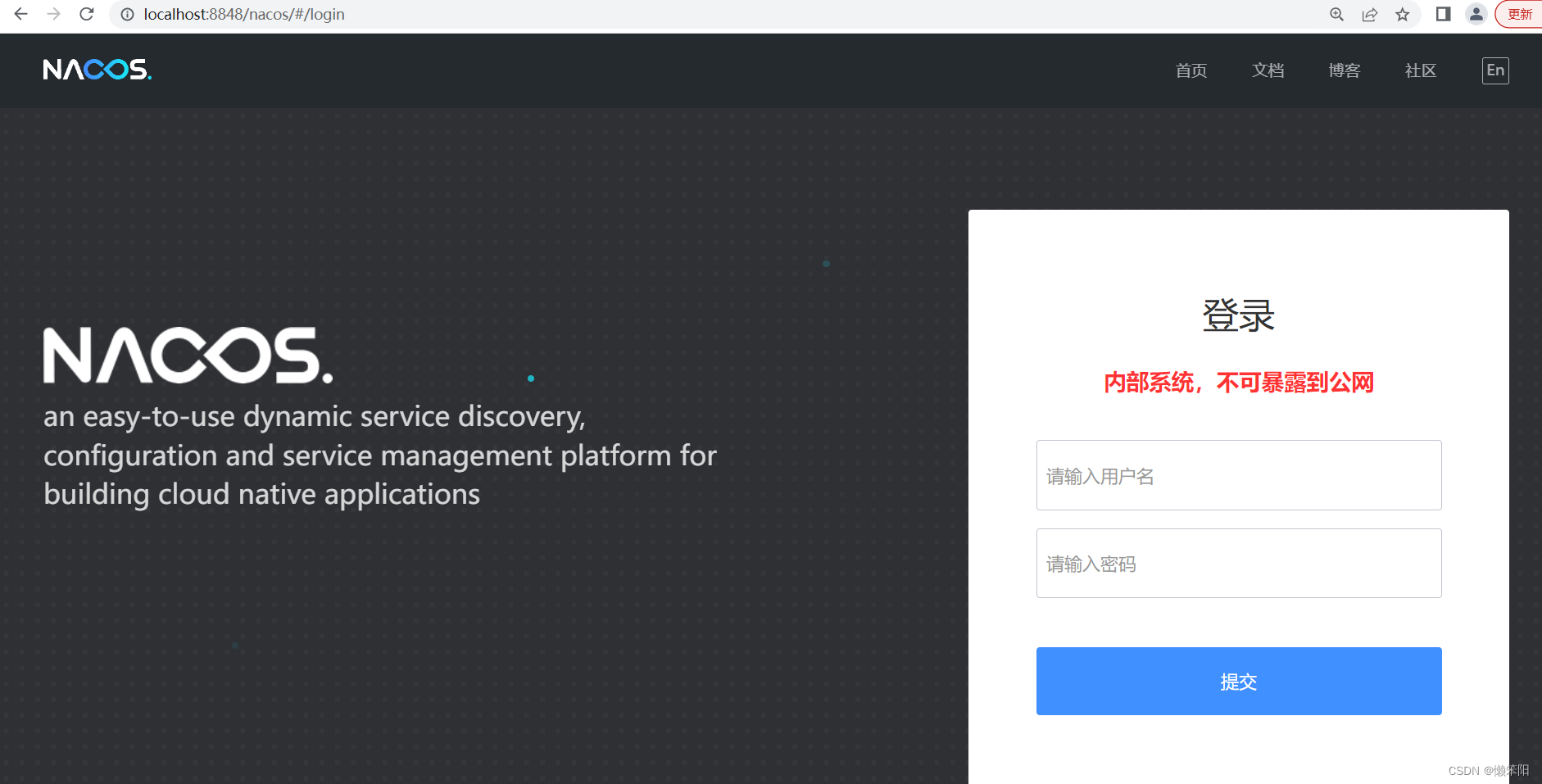 Nacos服务注册中心_his_config_info_懂Java的懒阳阳的博客-CSDN博客