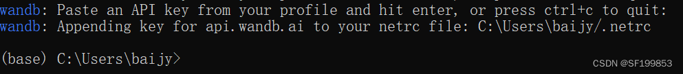 wandb安装登录方法，以及输入API key时不显示、无法粘贴、粘贴密码个数不对等问题解决_wandb登录-CSDN博客