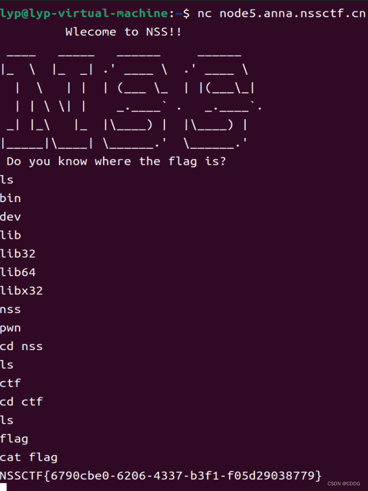 nss_pwn部分题解_[watevrctf 2019]voting machine 2-CSDN博客