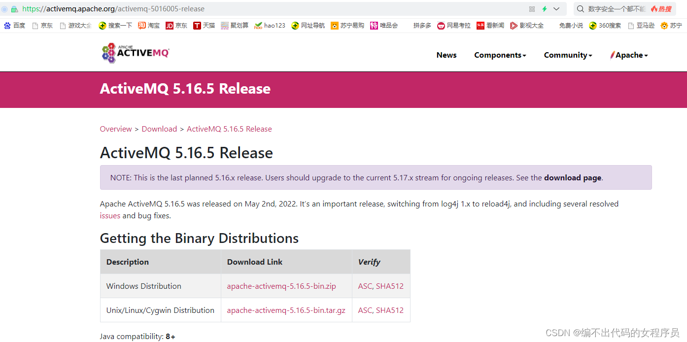 activeMQ安装教程-CSDN博客