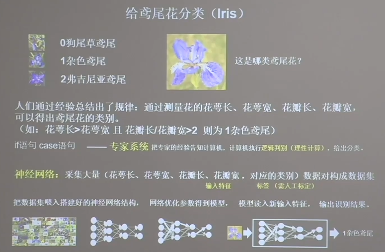 Python图像对抗 二、深度学习基本概念以及神经网络实现鸢尾花分类将鸢尾花特征数据与标签数据合并生成新的数据集新数据集结构如下表所示可以为d Csdn博客