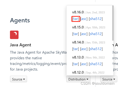 全链路跟踪——Skywalking安装集成（三）_skywalking下载-CSDN博客