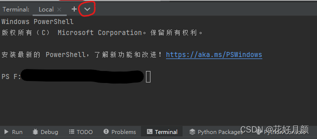 Python调试—Pycharm终端Terminal没反应_pycharm terminal不能用-CSDN博客