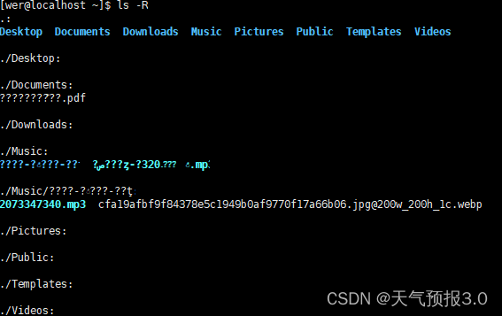 Linux Ls 命令 Csdn博客 