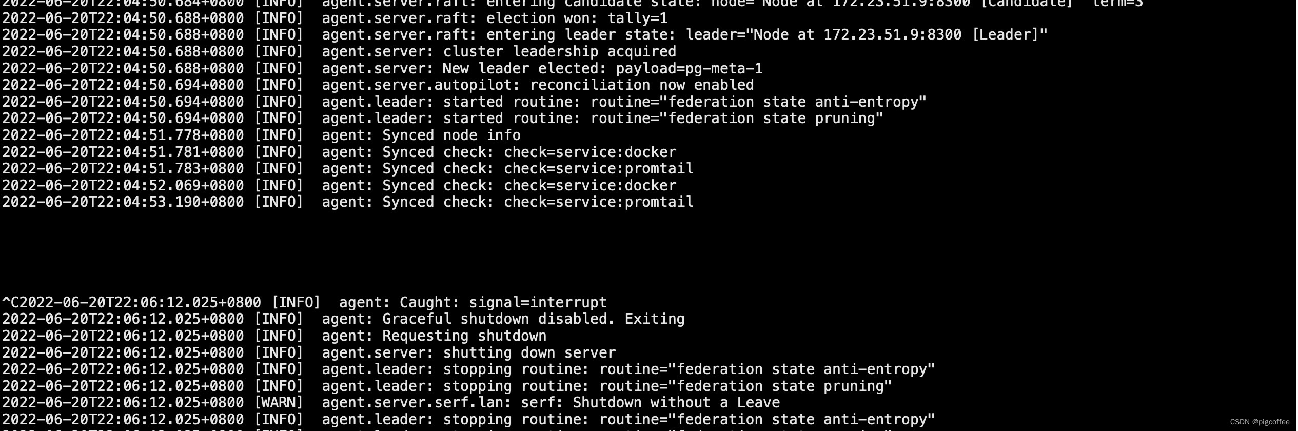 consul-禁止updates检查_consul failed to check fro updates-CSDN博客