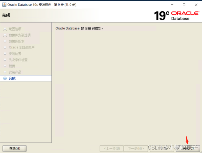 Windows Server 2019安装oracle 19c单机数据库【图文详解】winserver2019安装oracle19c Csdn博客