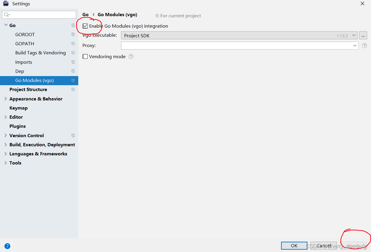 Goland中导入包标红但是能用解决办法_goland文件名红色-CSDN博客